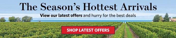 WSJwine from The Wall Street Journal | wine online, exclusive wine ...